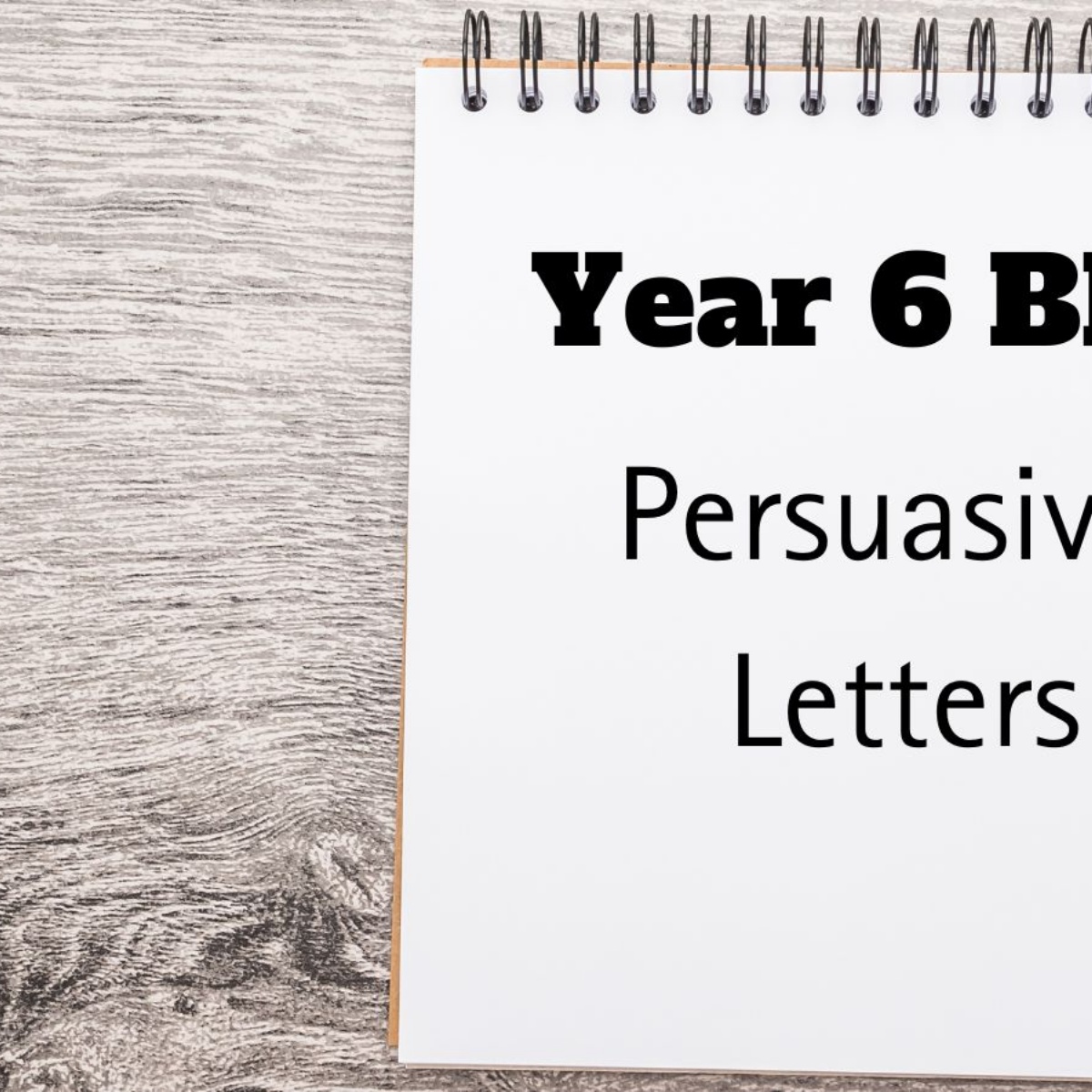Persuasive Letters - Stephen Perse Foundation