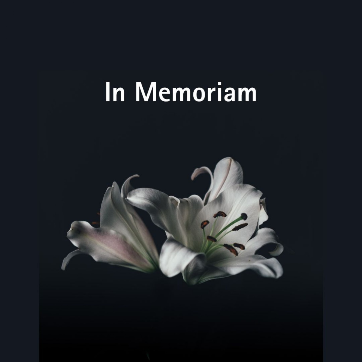 Veronica Walker 1936 - 2023 - Stephen Perse Foundation