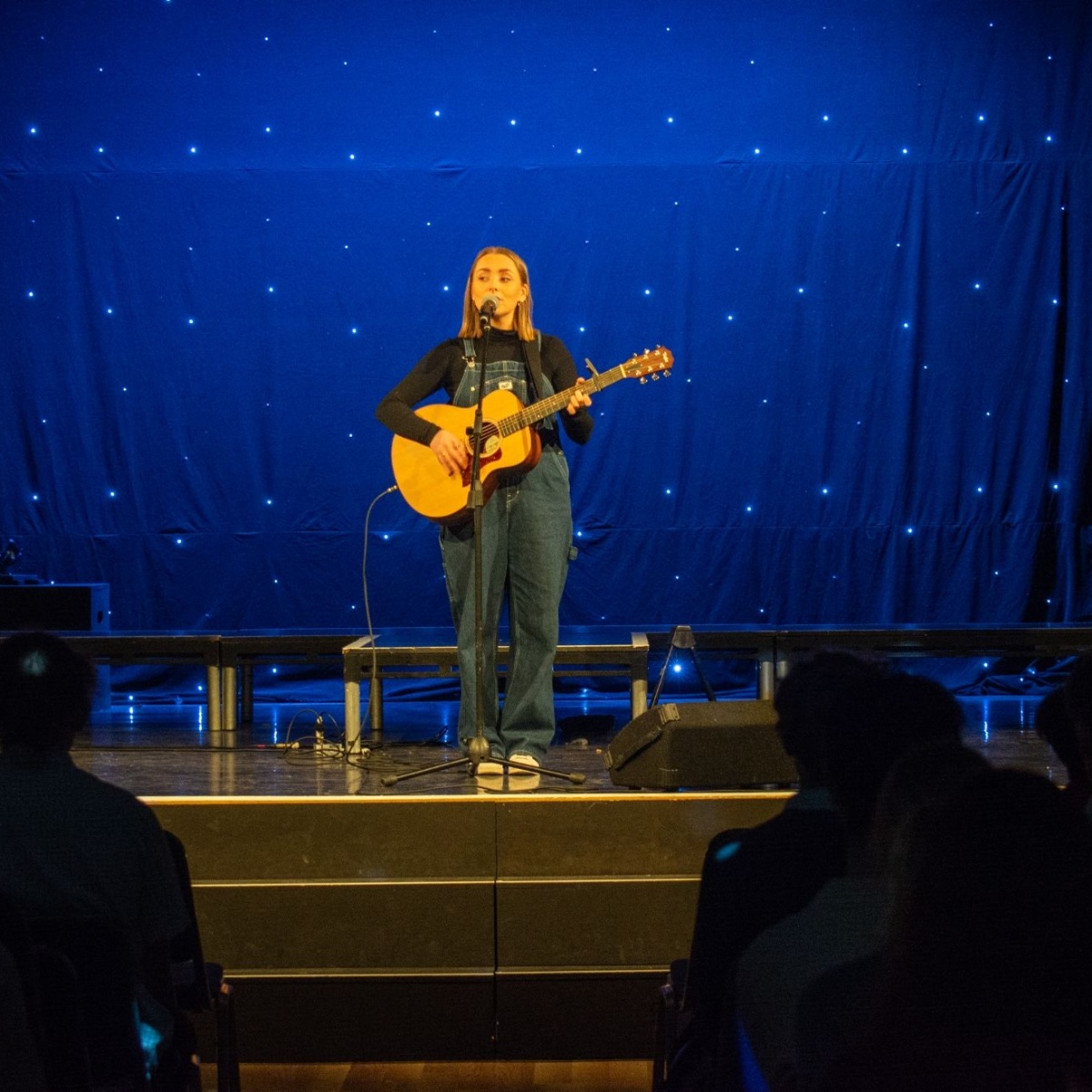 Careers and Guidance Talk - Áine Deane